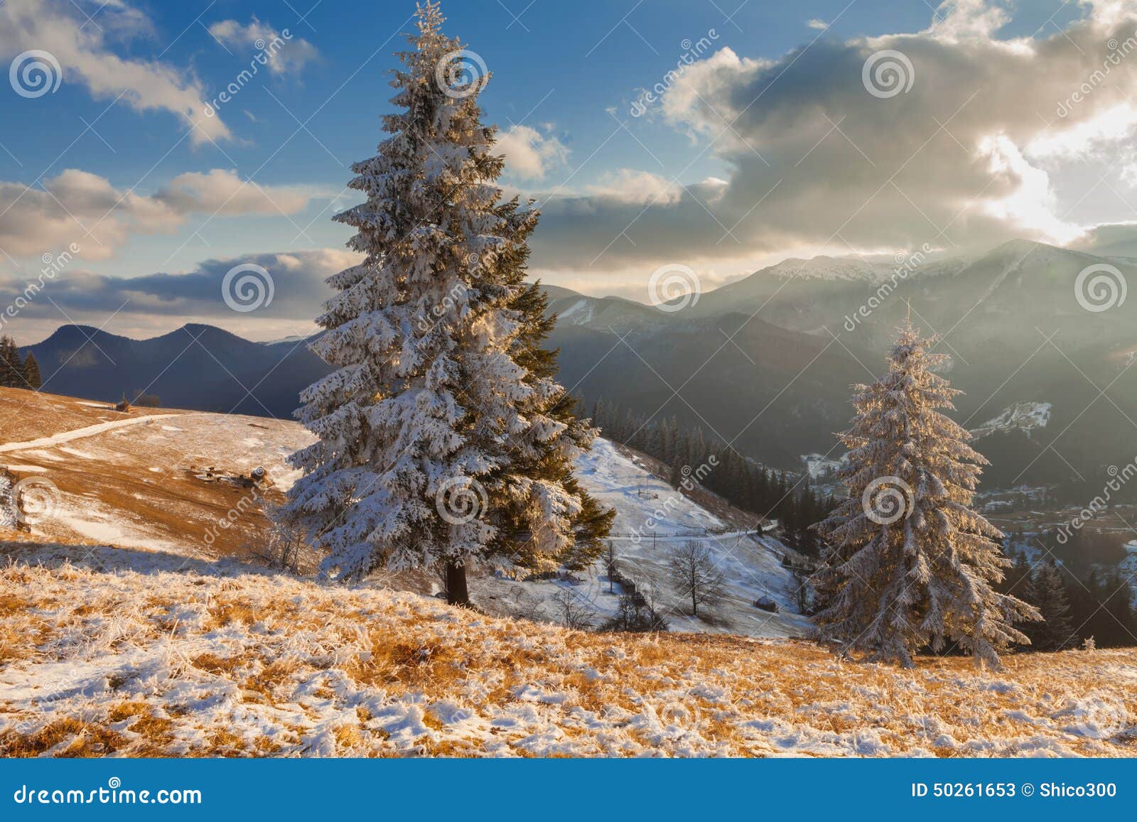 Beautiful Winter Landscape with Snow Covered Trees Stock Image - Image ...
