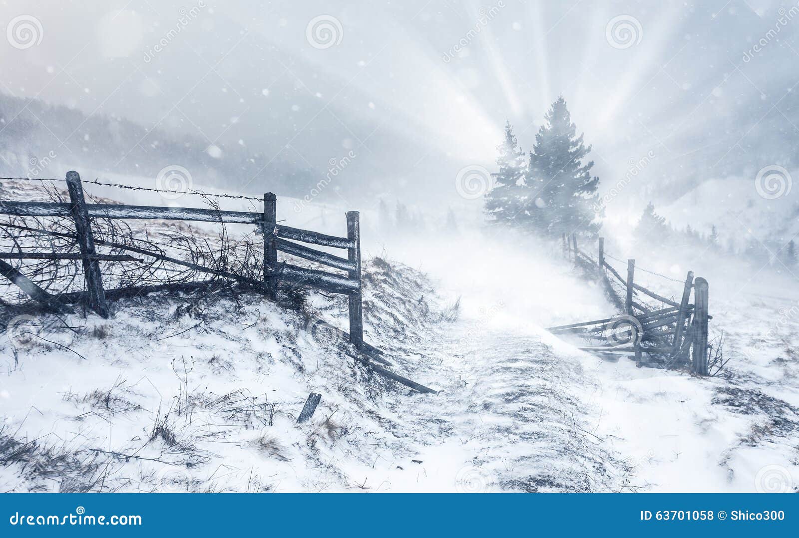 Beautiful Winter Landscape with Snow Covered Trees Stock Photo - Image ...