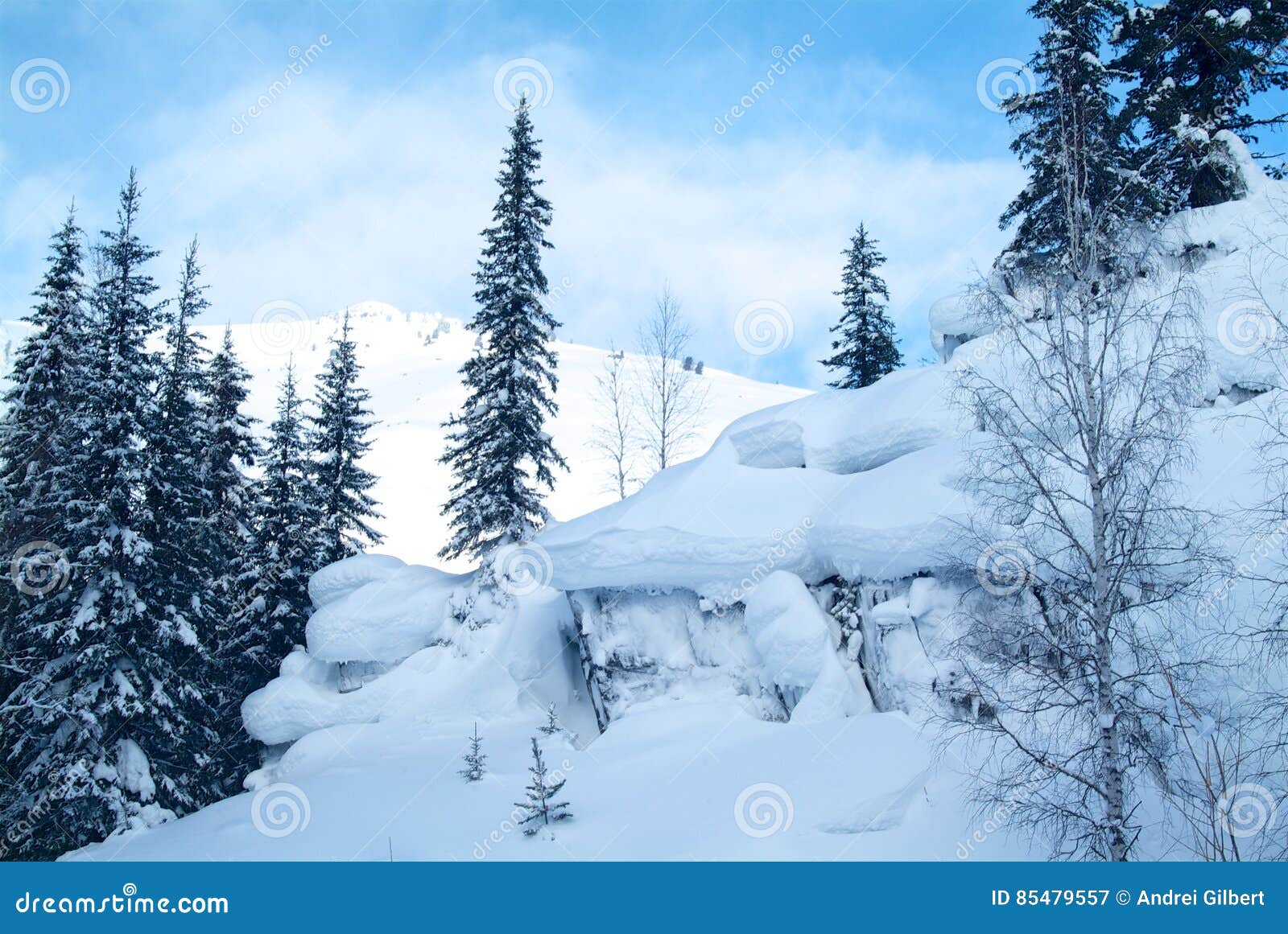 Beautiful Winter Landscape with Snow Covered Trees Stock Image - Image ...
