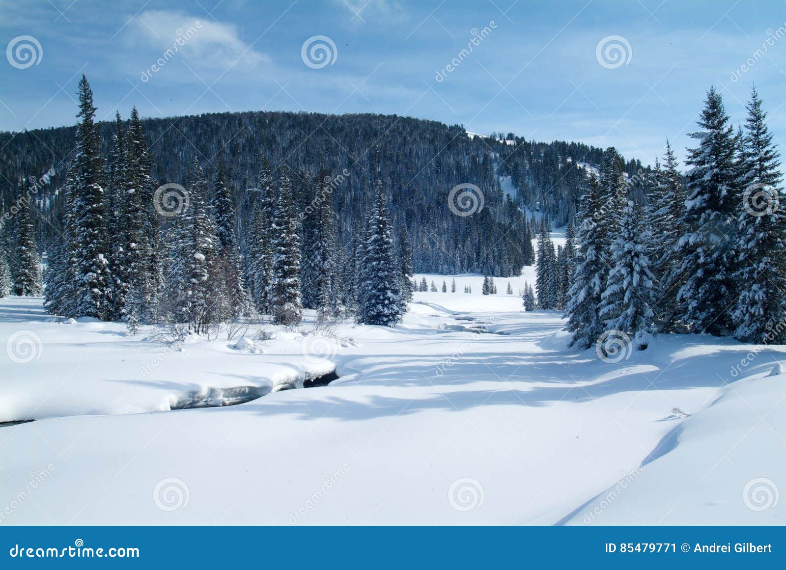 Beautiful Winter Landscape with Snow Covered Trees Stock Image - Image ...