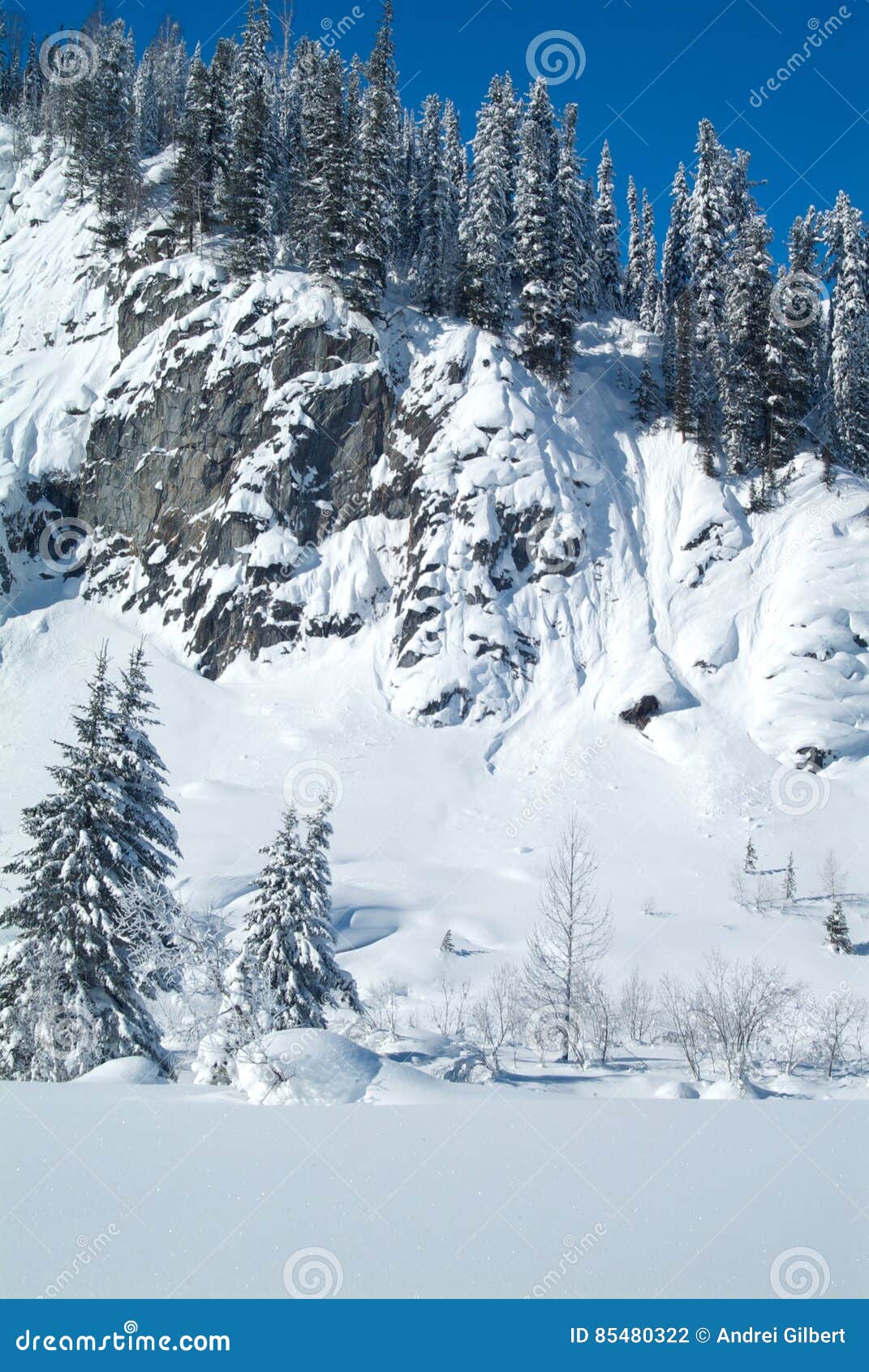 Beautiful Winter Landscape with Snow Covered Trees Stock Photo - Image ...