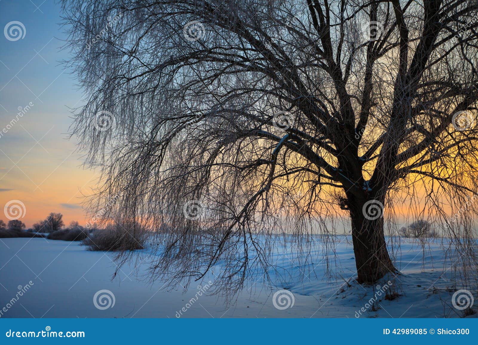 Beautiful Winter Landscape with Snow Covered Trees Stock Image - Image ...