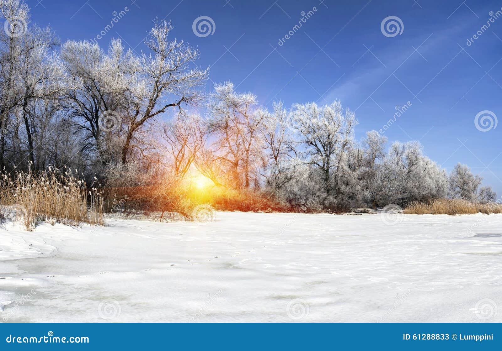 Beautiful Winter Landscape at Sunset with Snow Stock Image - Image of ...