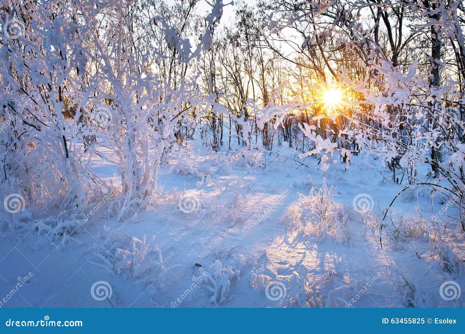 Beautiful Winter Landscape at Sunset Stock Image - Image of nature ...
