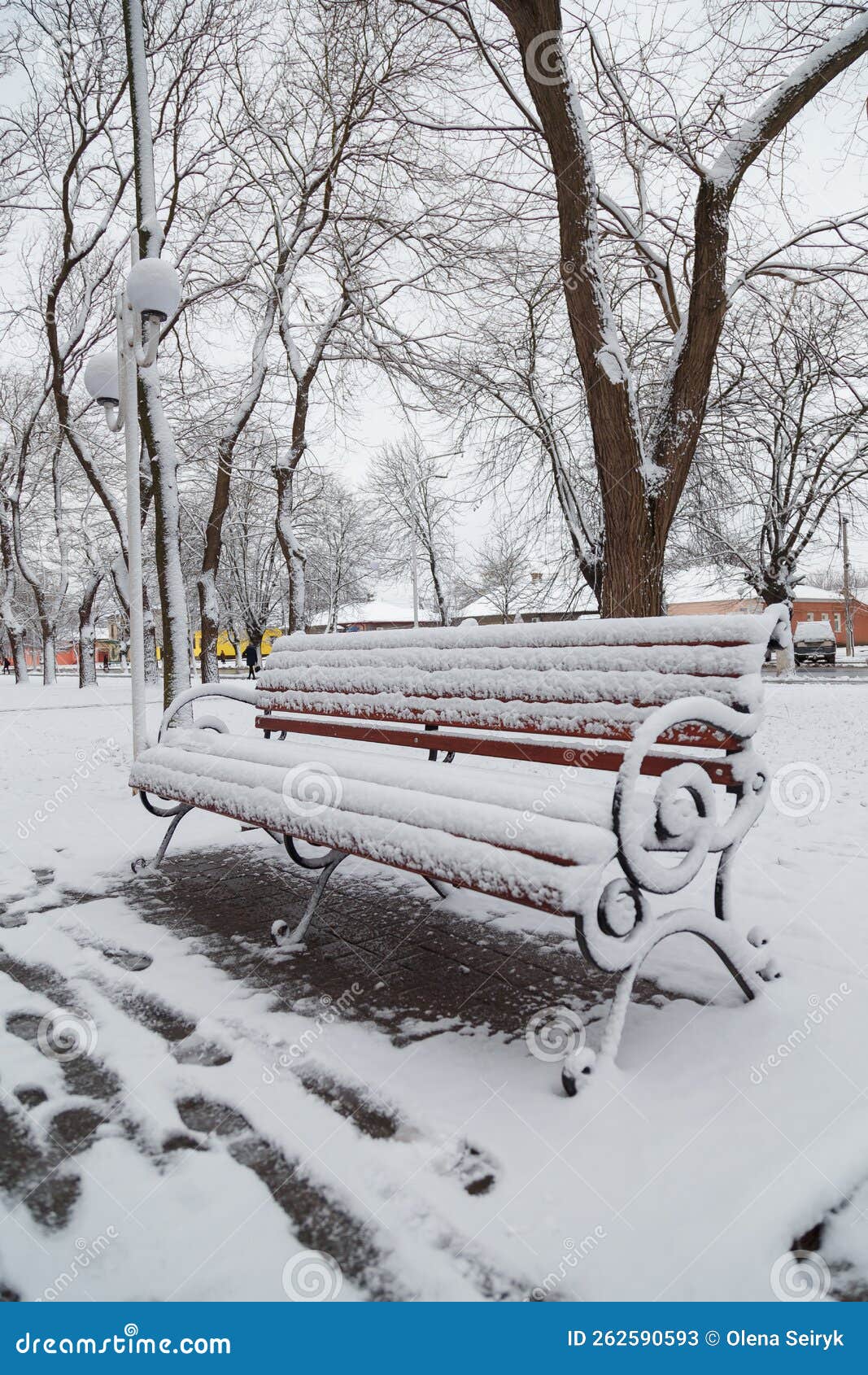 Beautiful Winter Landscape, Trees and Bench in Park Covered with Snow ...