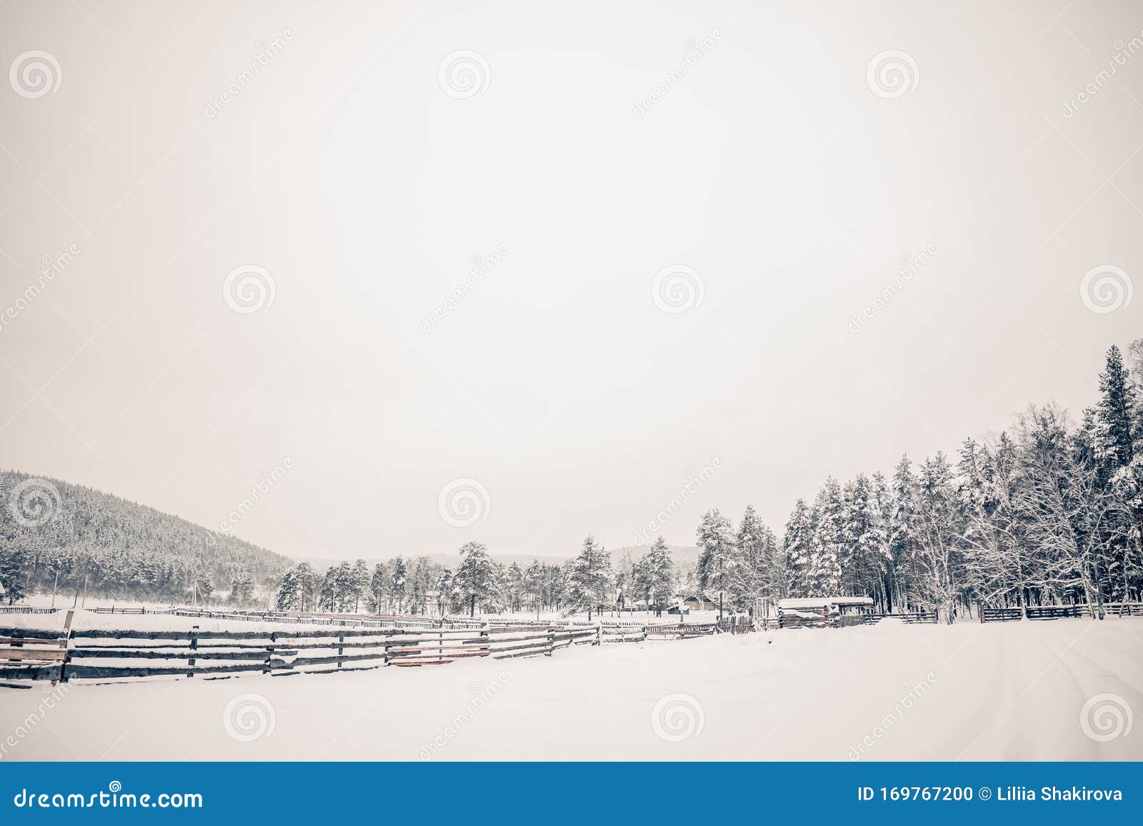 Beautiful Winter Nature, White Snow Stock Photo - Image of crystal ...