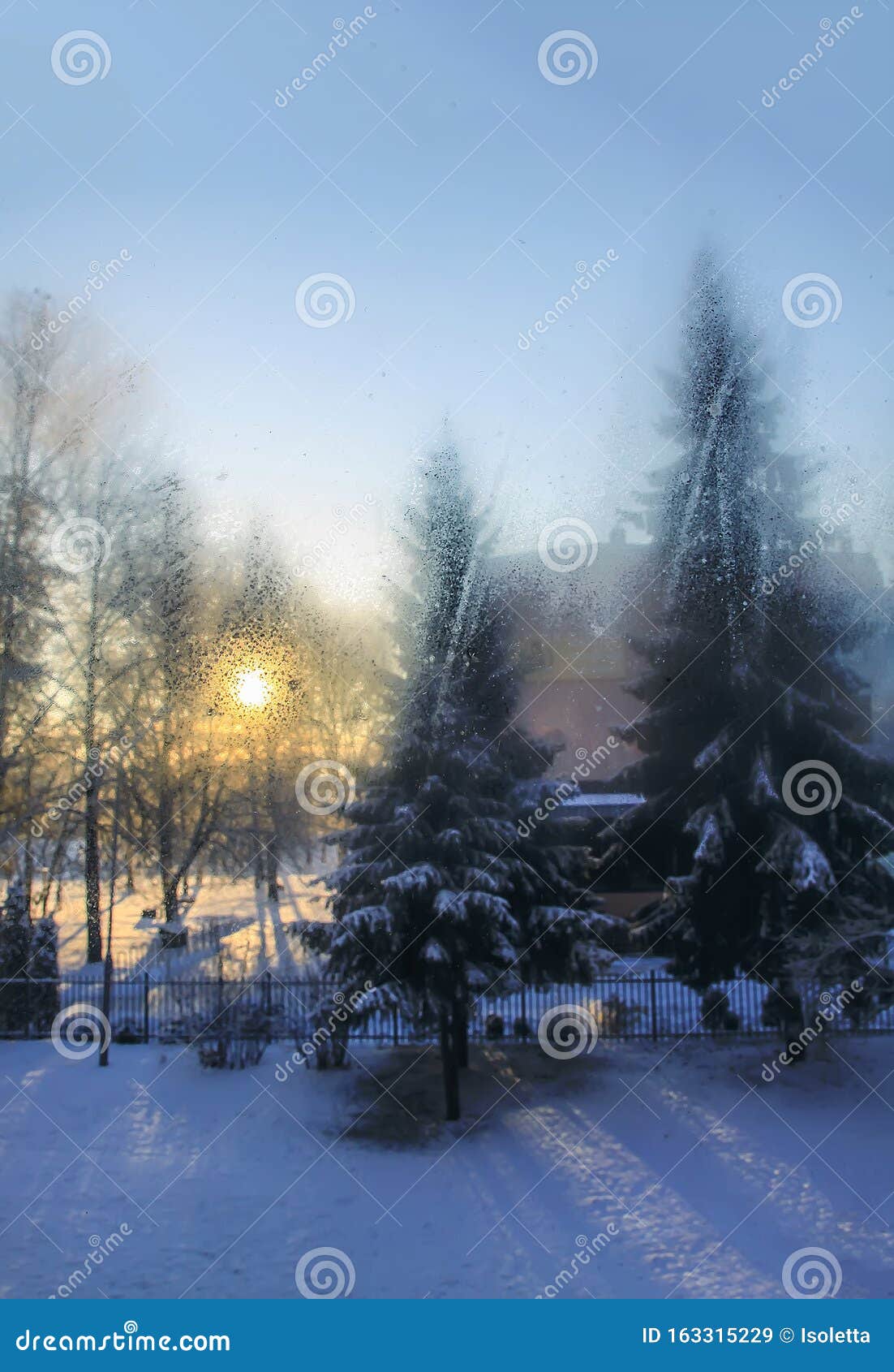 Beautiful Winter Landscape with Trees in Snow. Sunset Light Stock Image ...