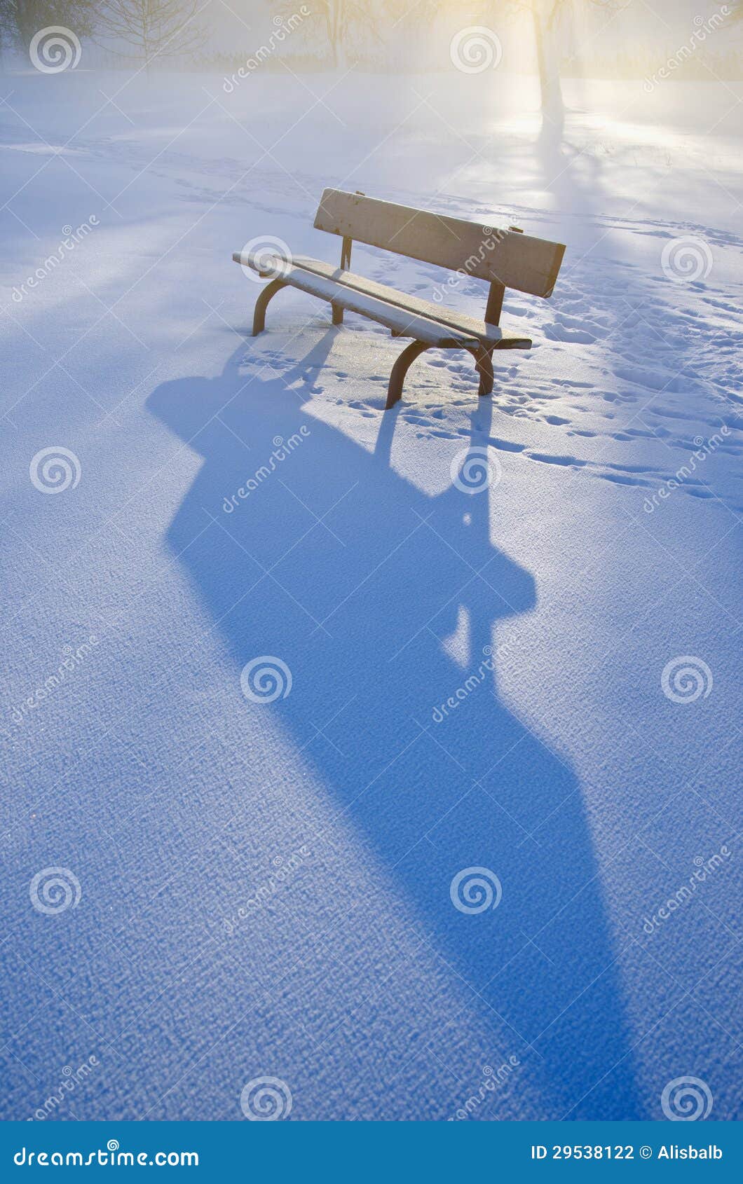 Beautiful Winter Morning Mist in Park and Sunlight Stock Photo - Image ...
