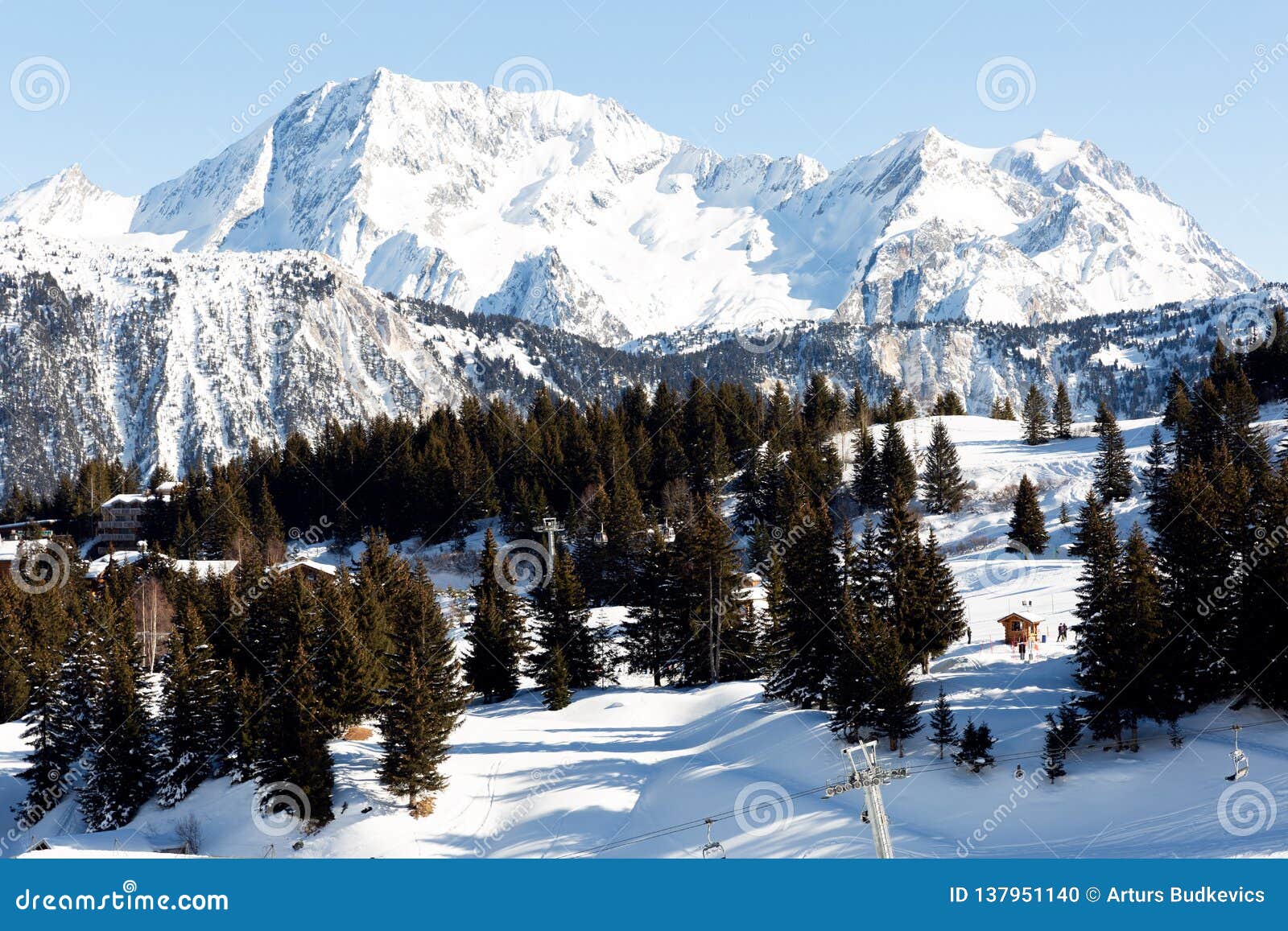Beautiful Winter Mountain Scenery with Pine Trees Stock Photo - Image ...
