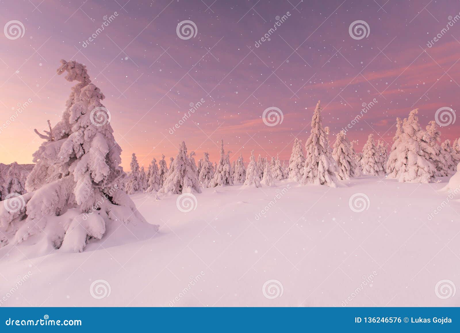 Beautiful Winter Landscape, Trees Covered with Snow. Stock Photo ... Beautiful Winter Landscape, Trees Covered with Snow. Stock Photo ...