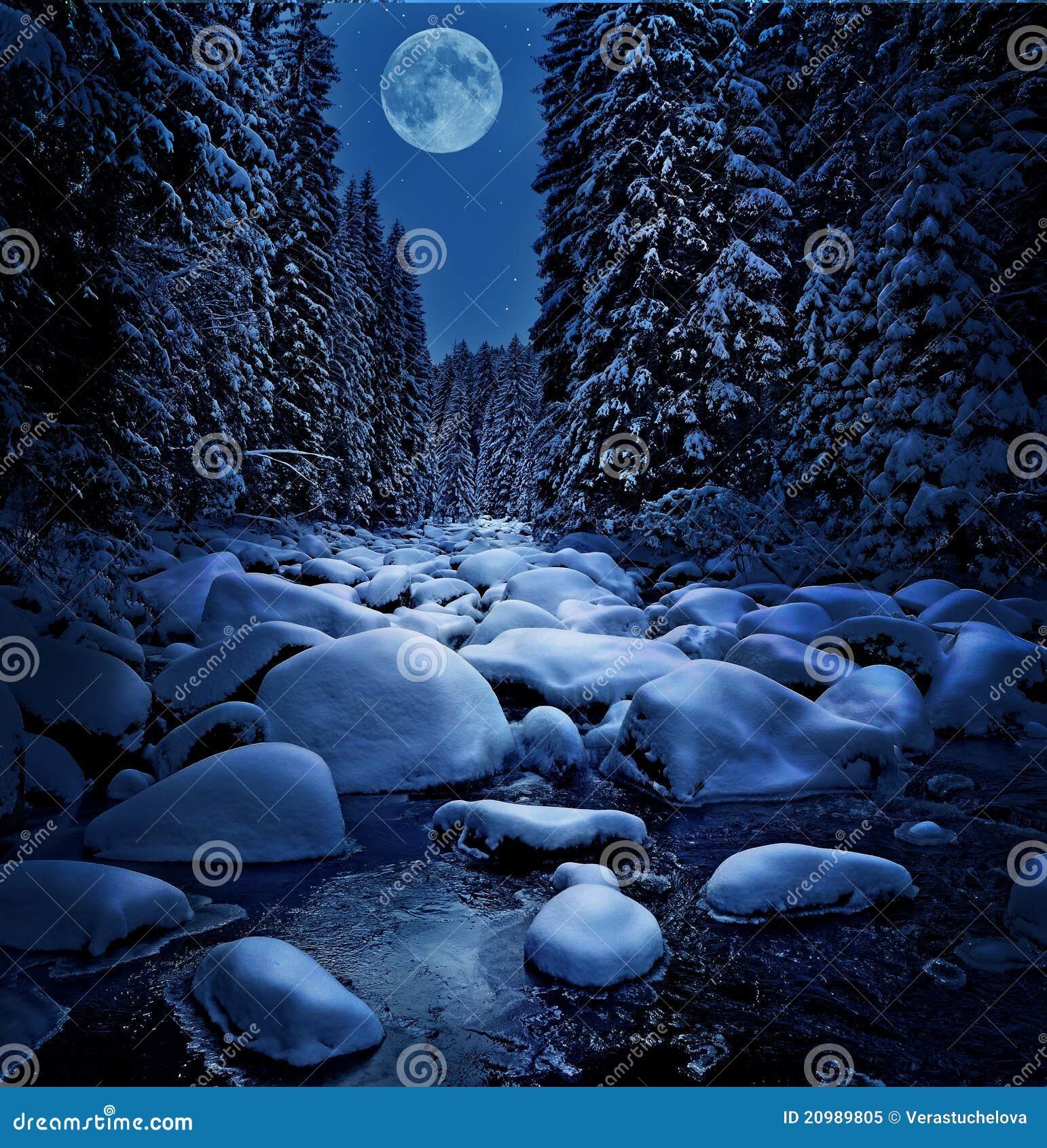 Beautiful winter night stock image. Image of bright, frozen - 20989805