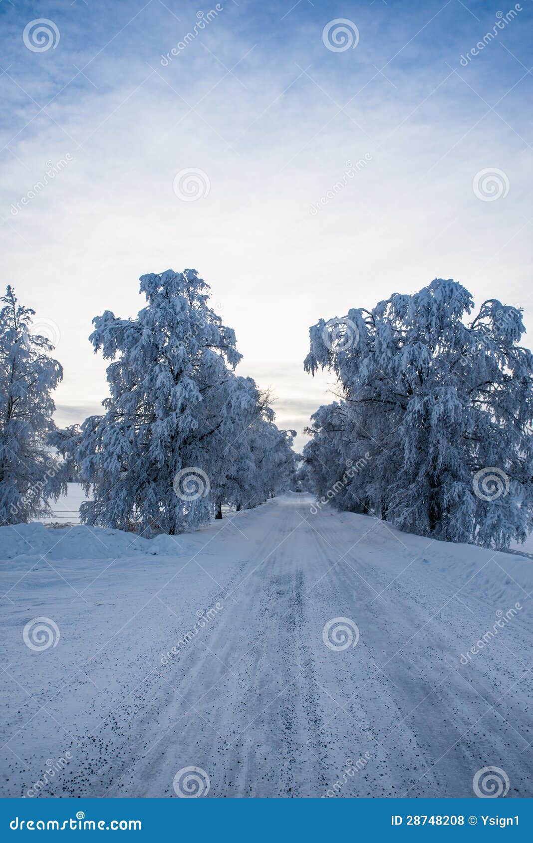 Beautiful winter road stock photo. Image of copy, narrow - 28748208