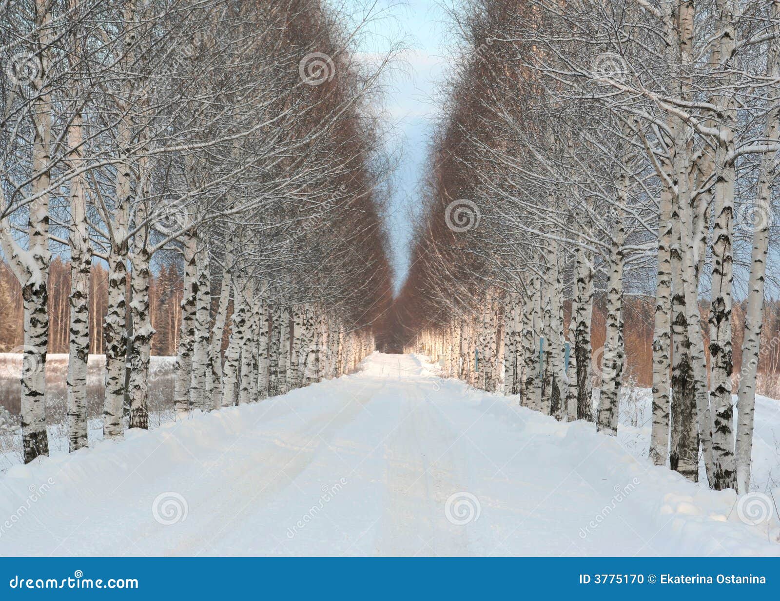 Beautiful winter road stock photo. Image of beautifully - 3775170