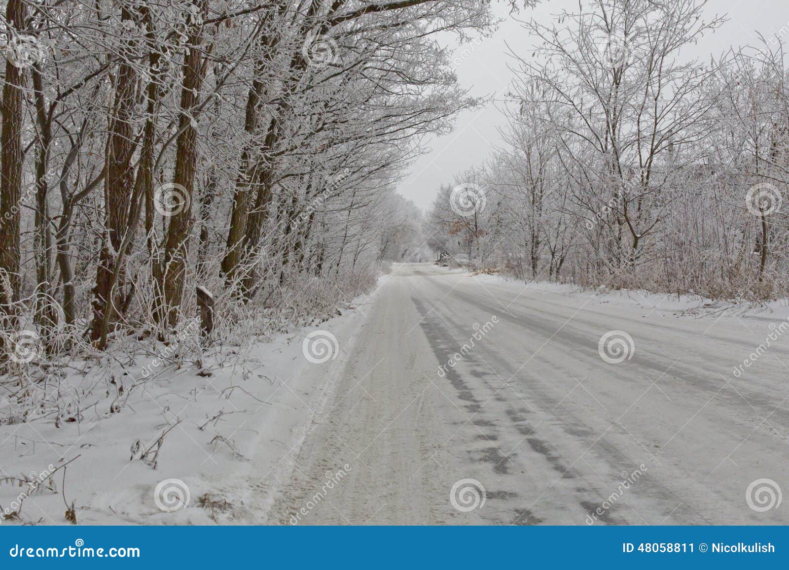 Beautiful winter road stock image. Image of forest, path - 48058811
