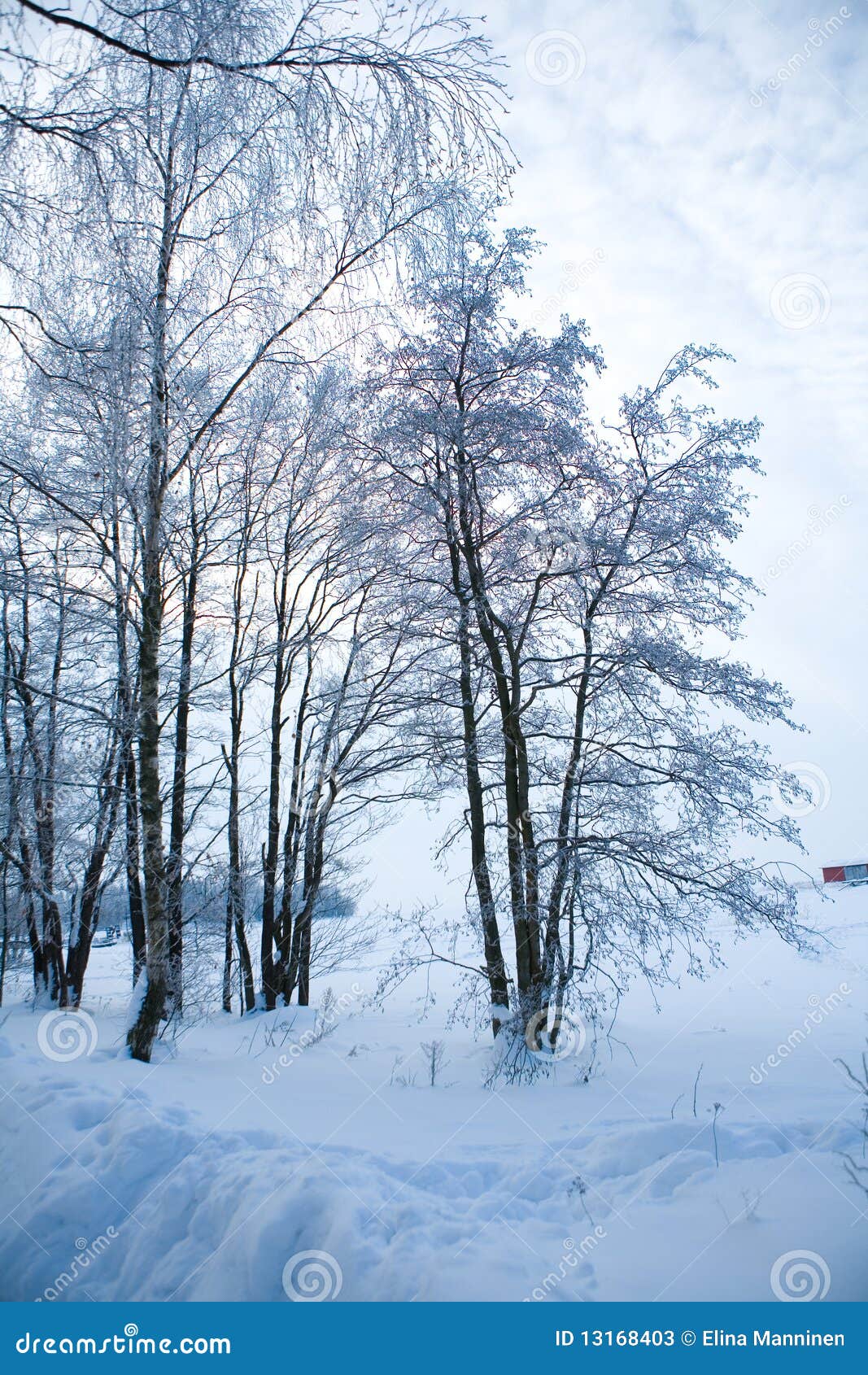 Beautiful winter scene stock image. Image of outdoor - 13168403