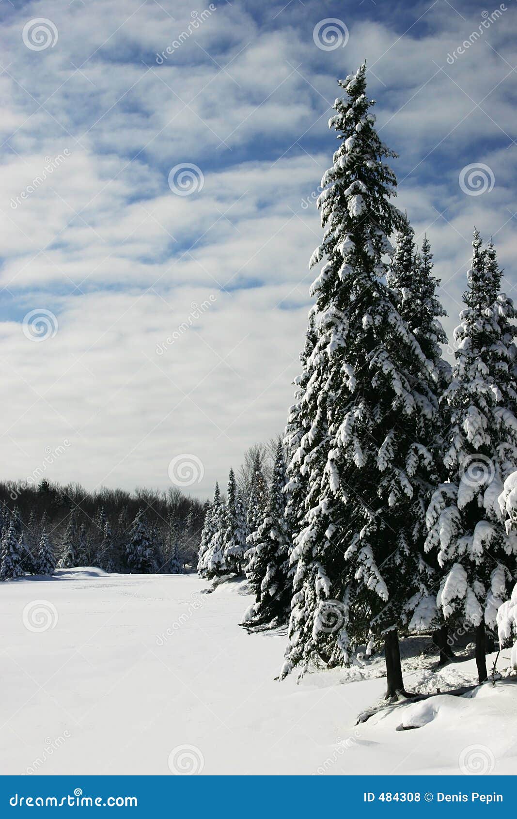 Beautiful Winter Scene by a Frozen Lake Stock Photo - Image of north ...