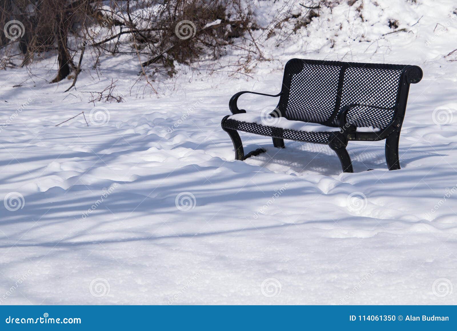 Beautiful Snow Covered Winter Scene with Bench Stock Photo - Image of ...