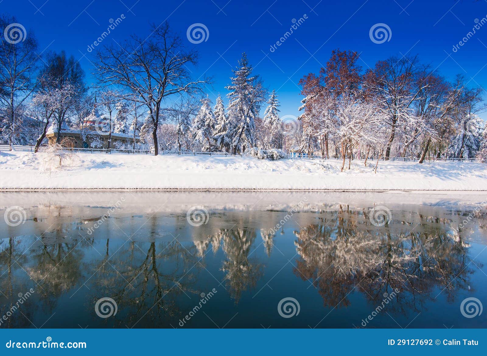 Beautiful Winter Scenery with Fresh Snow and Trees in a Park Stock ...