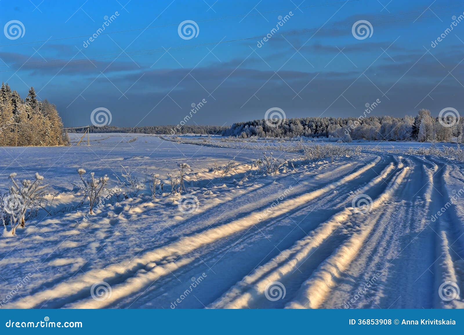 Beautiful Winter Snowy Road Stock Photo - Image of grey, field: 36853908
