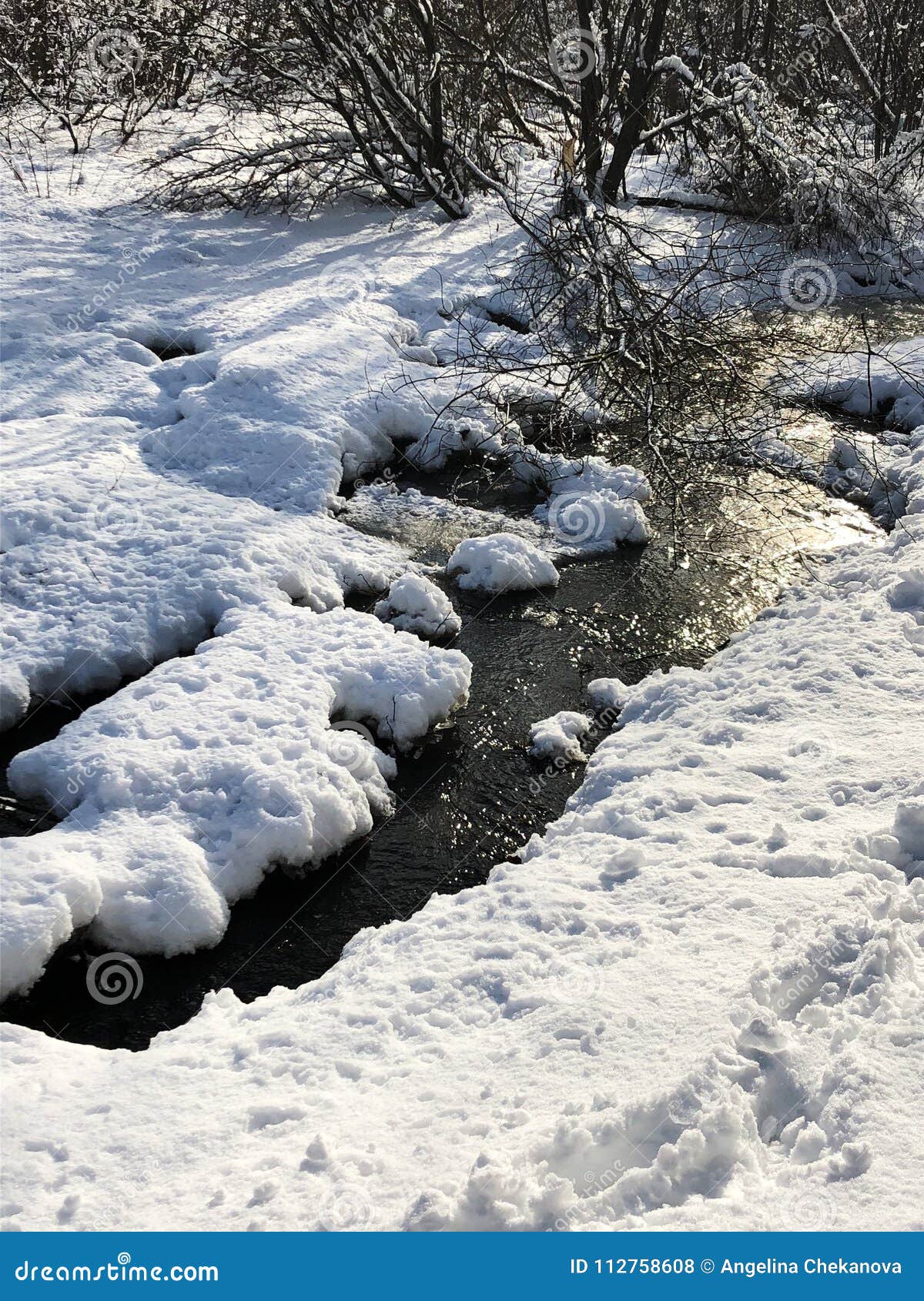 Beautiful Winter Stream Flows in the Forest Stock Photo - Image of ...