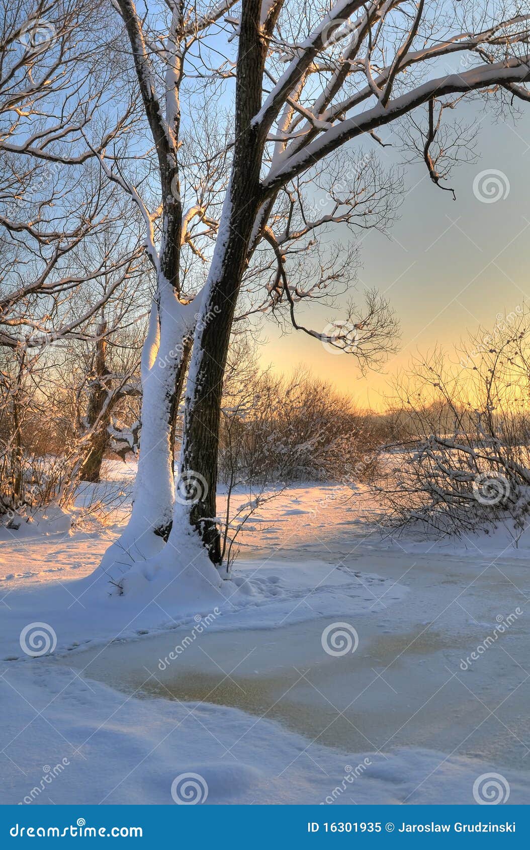Beautiful winter sunset stock image. Image of nature - 16301935