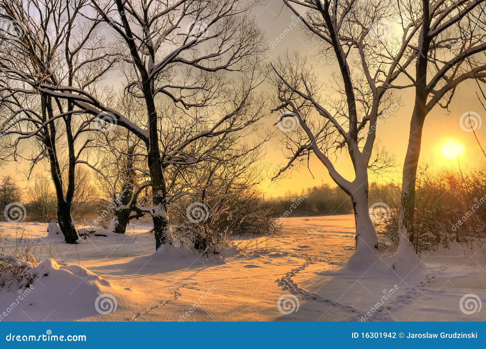 Beautiful winter sunset stock photo. Image of river, frost - 16301942