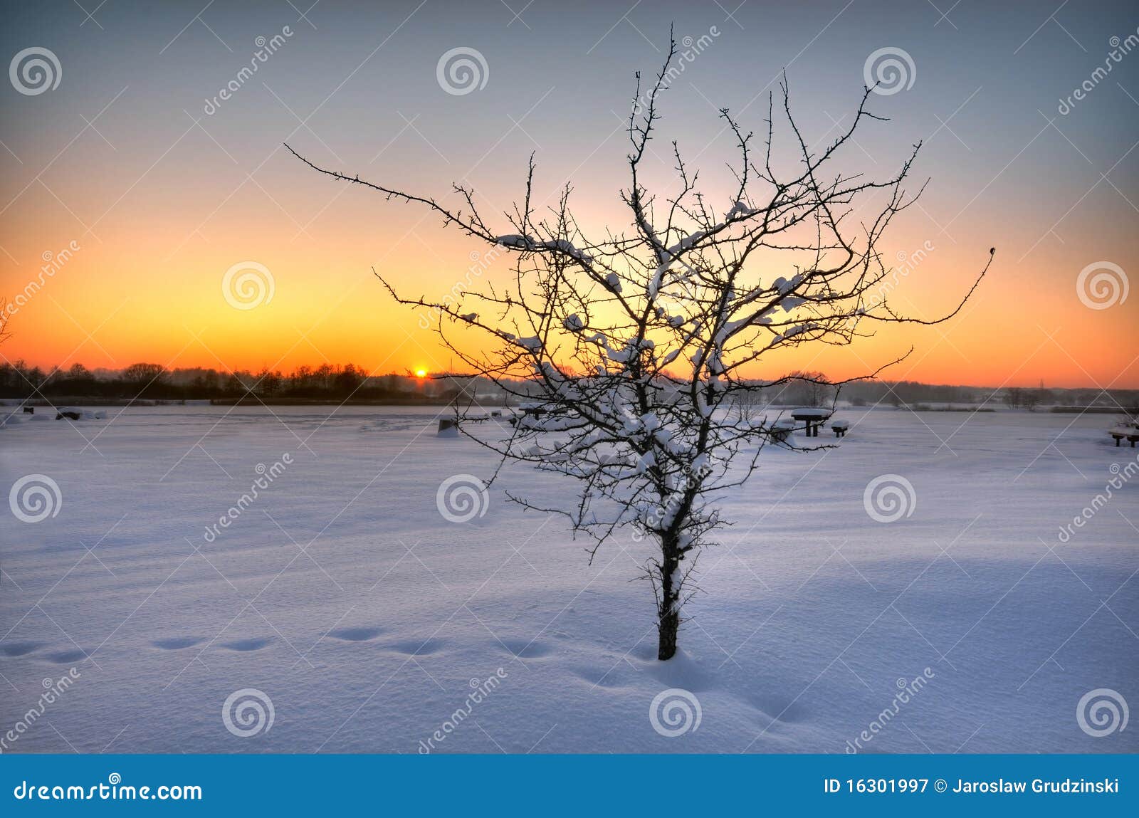 Beautiful winter sunset stock image. Image of cold, january - 16301997