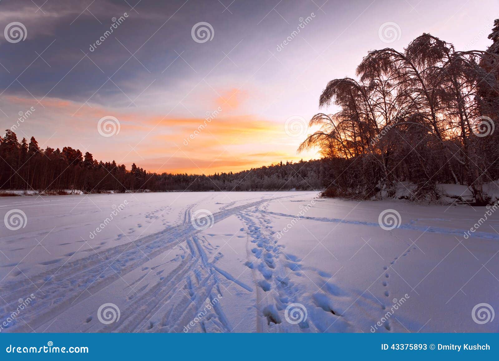 Beautiful winter sunset stock image. Image of cover, orange - 43375893