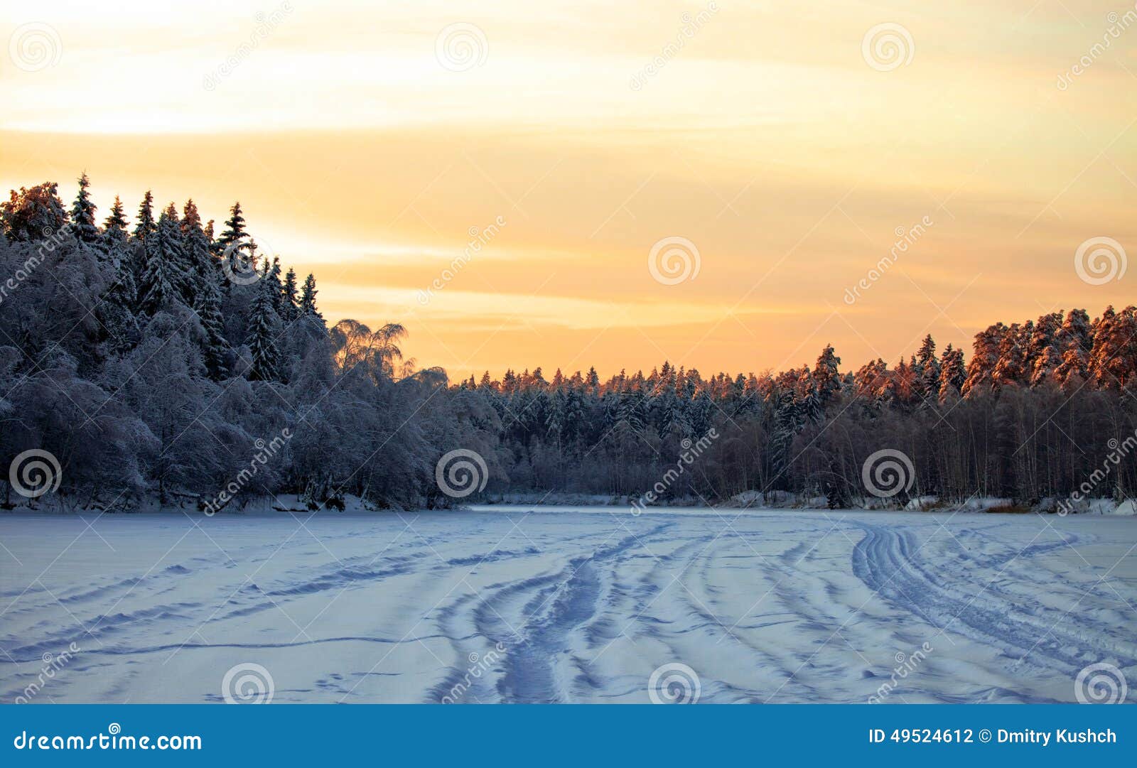 Beautiful winter sunset stock photo. Image of season - 49524612