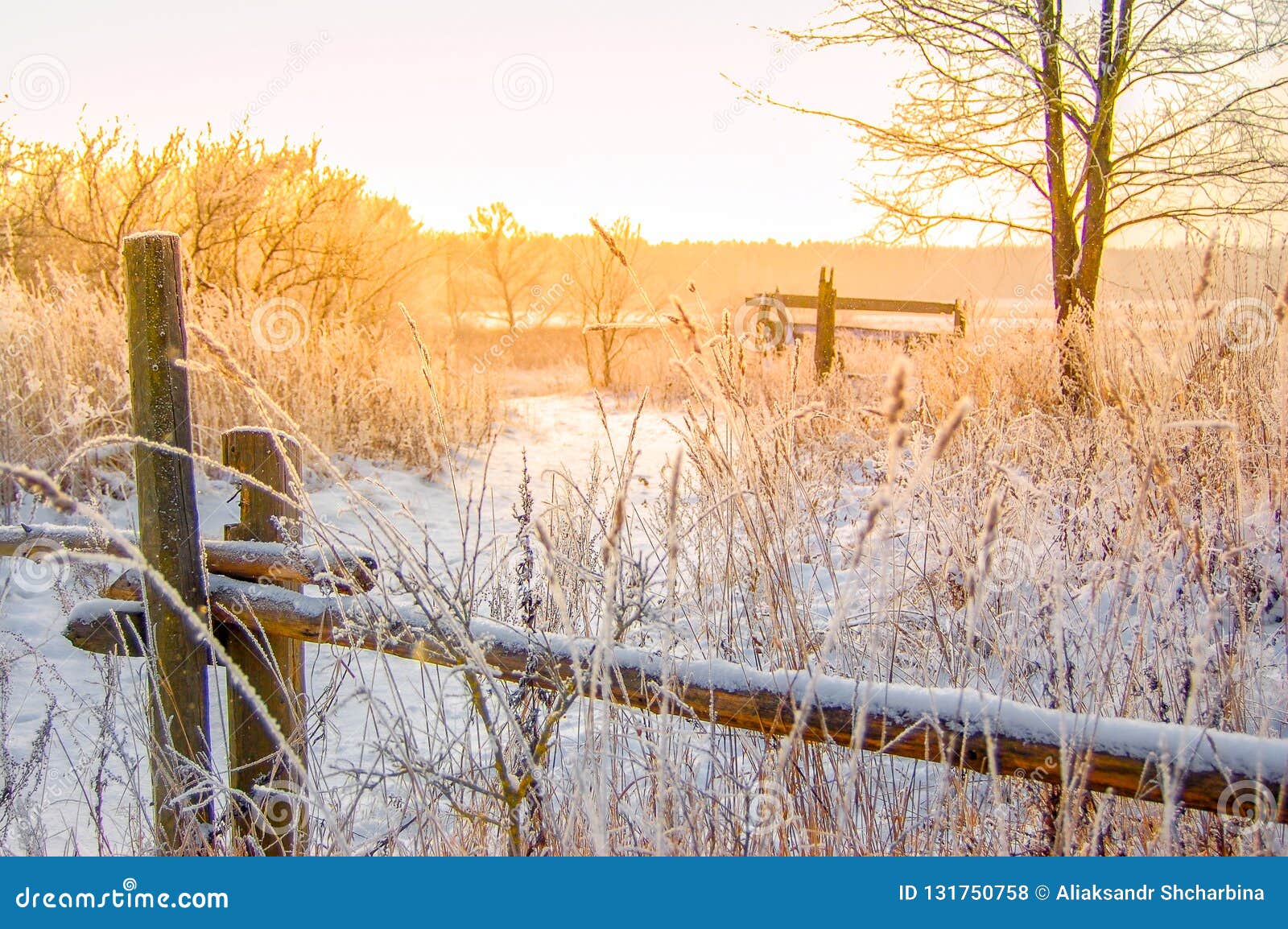 Beautiful winter sunset stock photo. Image of outdoor - 131750758
