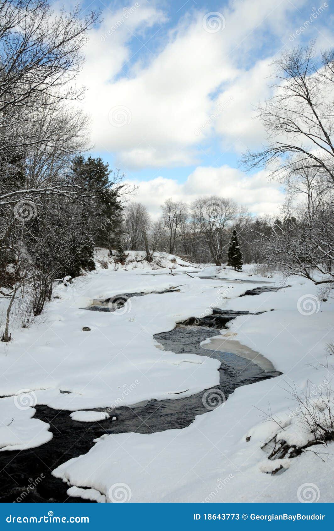 Beautiful Winter Vertical Landscape Stock Image - Image of chill ...