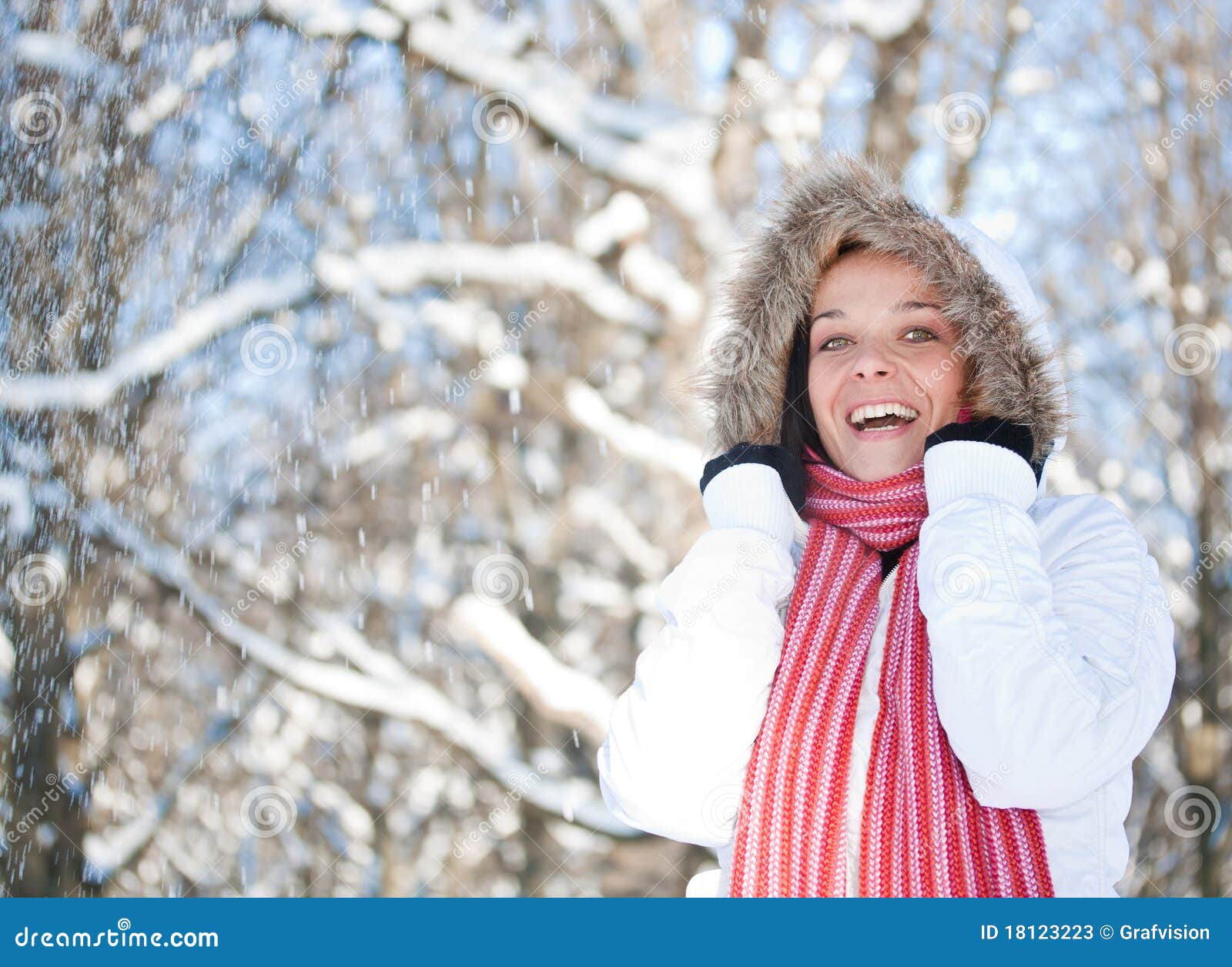 Beautiful winter woman stock image. Image of beauty, forest - 18123223