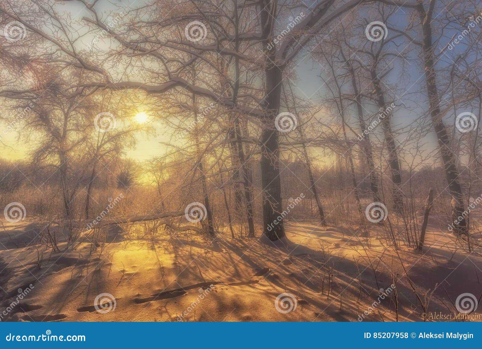 Beautiful winterscape stock photo. Image of forest, morning - 85207958