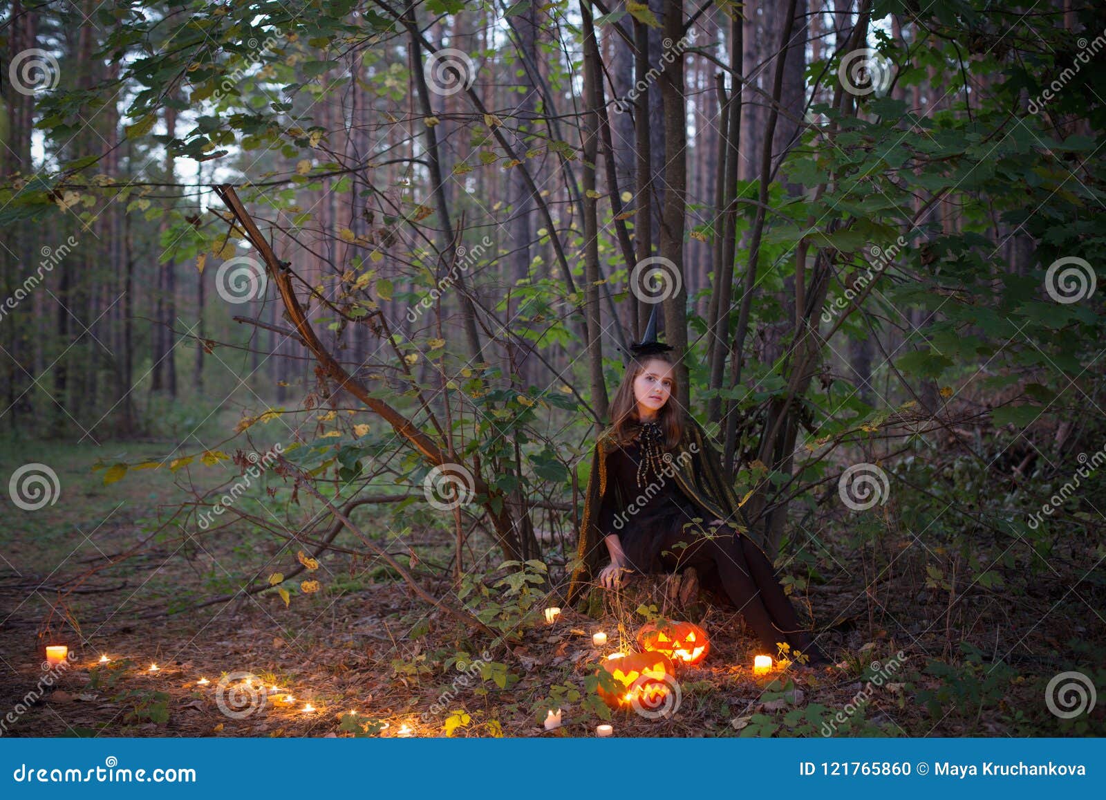 Beautiful Witch with a Pumpkin in the Magic Forest Stock Photo - Image ...