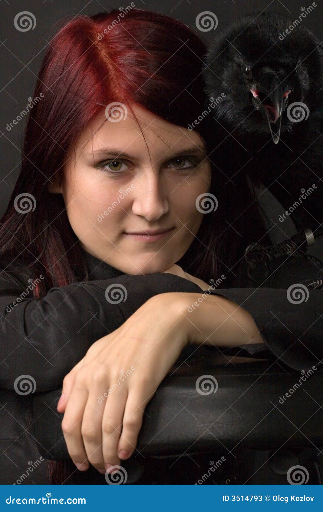 Beautiful witch with raven stock image. Image of beak - 3514793