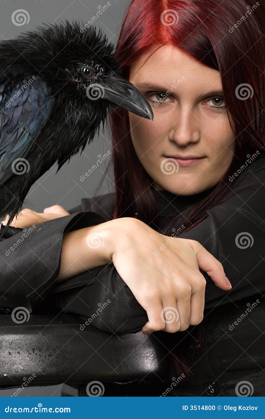 Beautiful witch with raven stock photo. Image of hairstyle - 3514800