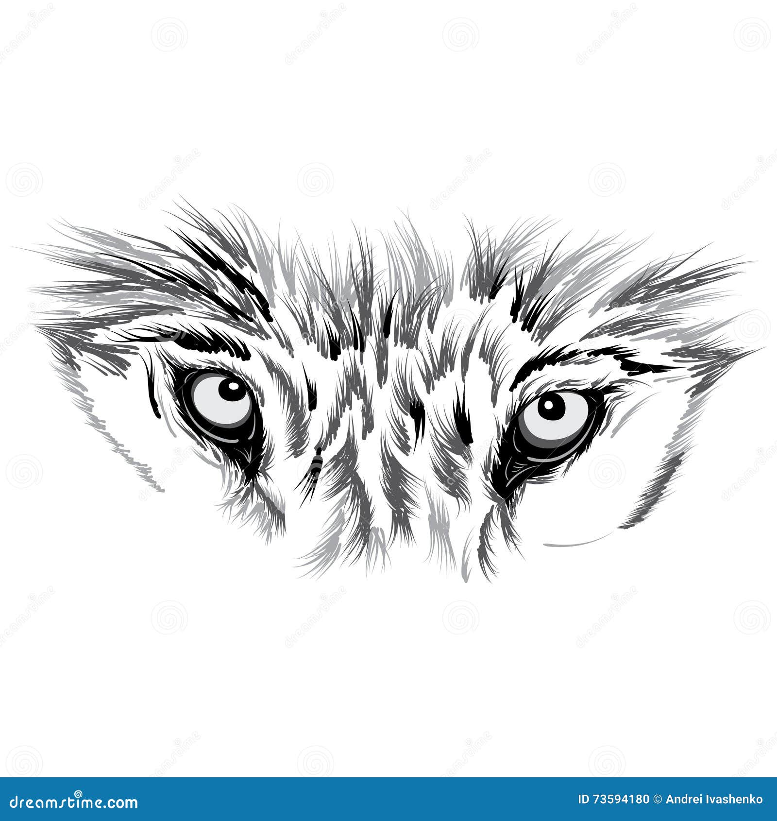 Beautiful Wolf Face. Vector Illustration Stock Vector - Illustration of ...