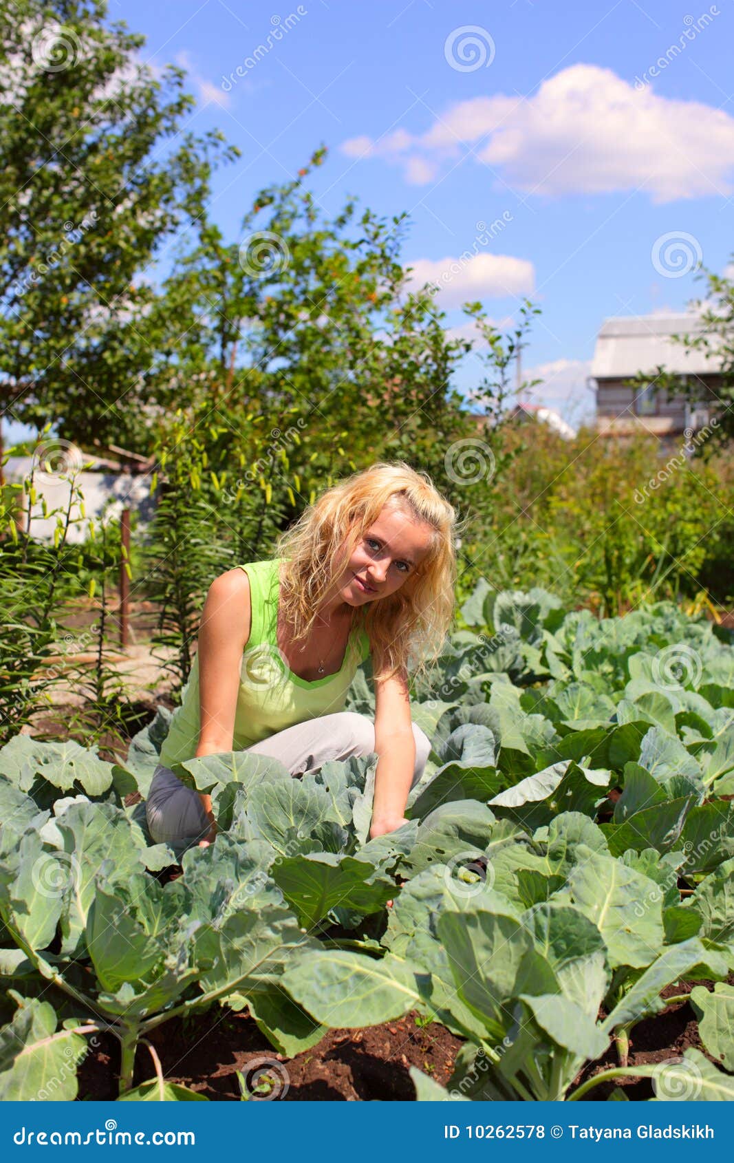 Beautiful Woman on a Bed with Cabbage Stock Photo - Image of pursuit ...