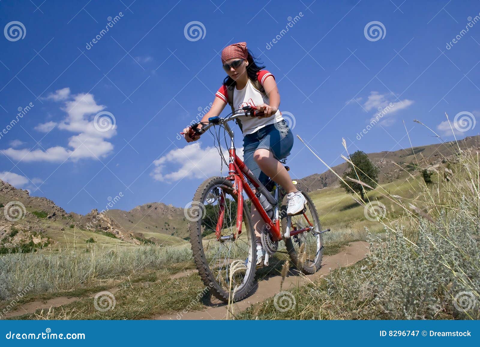Beautiful Woman on a Bicycle Stock Image - Image of bike, exercise: 8296747