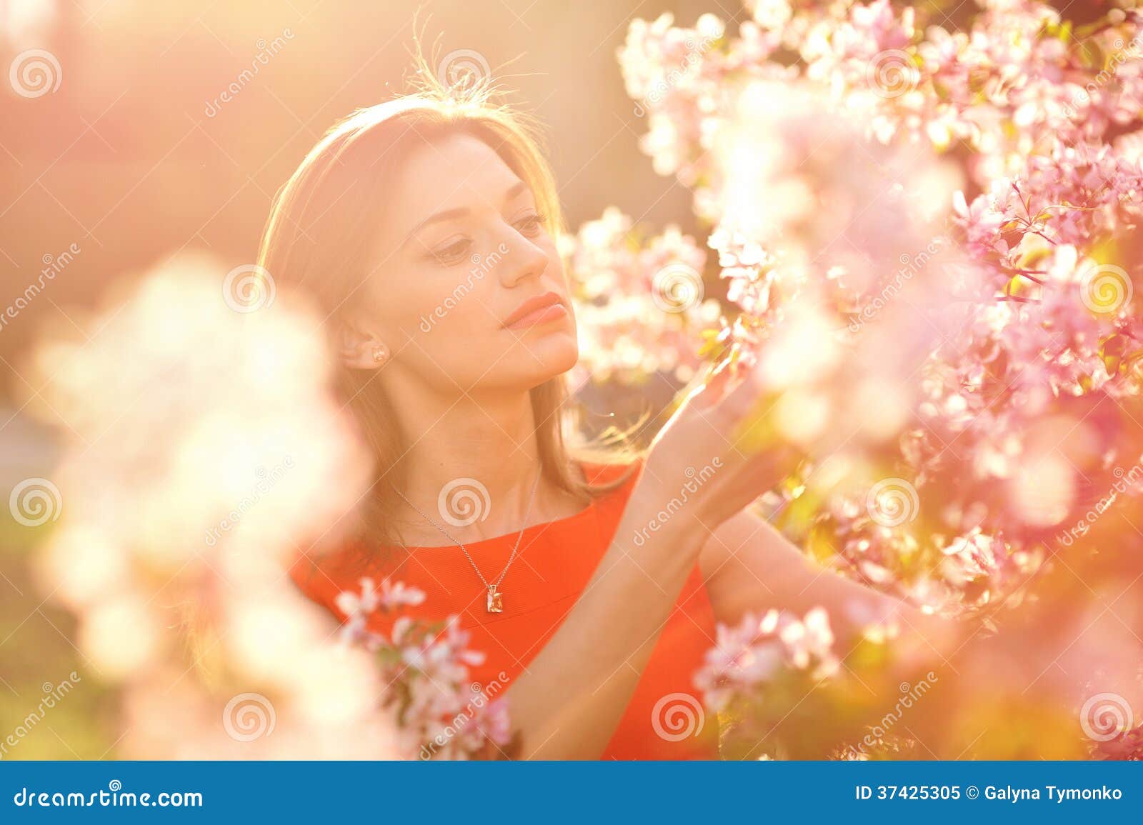 Beautiful Woman among Blossoming Trees Stock Image - Image of beauty ...