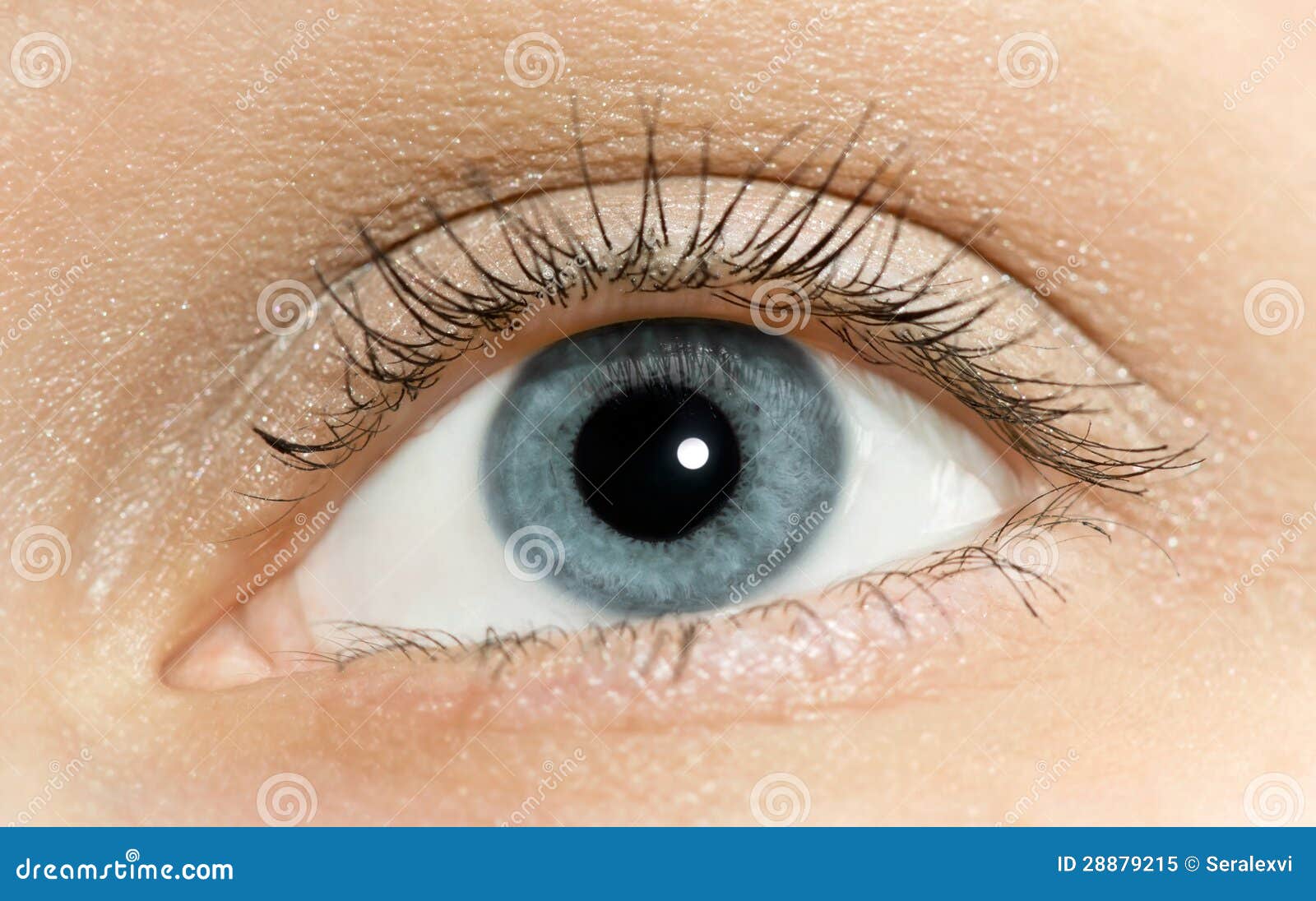 Beautiful woman blue eye stock image. Image of view, eyeball - 28879215