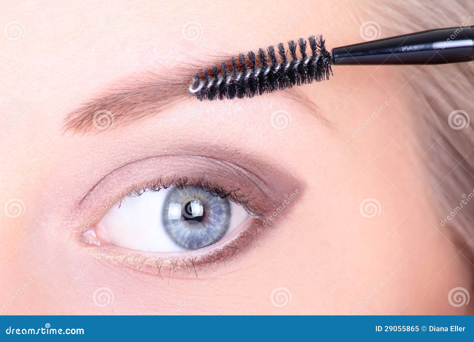 Beautiful Woman Brushing Eyebrows with Makeup Brush Stock Image - Image ...