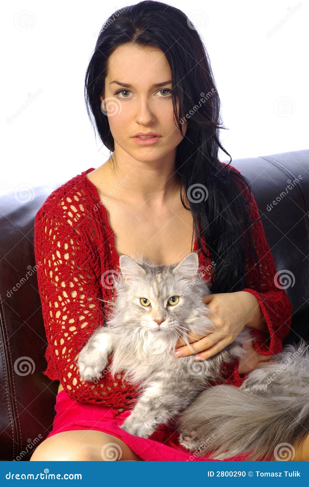 Beautiful woman with cat stock photo. Image of silver - 2800290