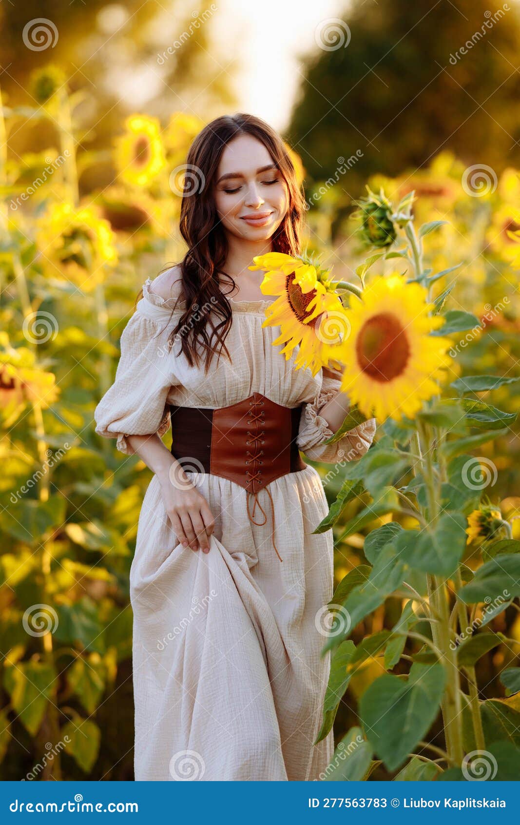Beautiful Woman In A Dress In A Field Of Sunflowers Stock Image Image