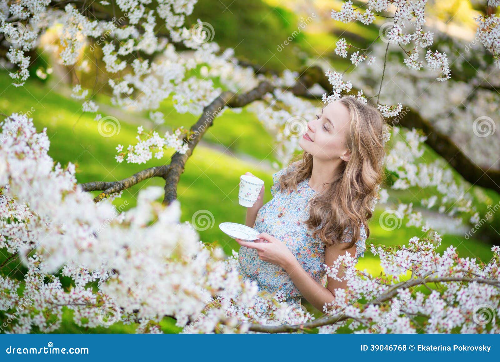 Beautiful Woman Drinking Tea in Cherry Garden Stock Photo - Image of ...