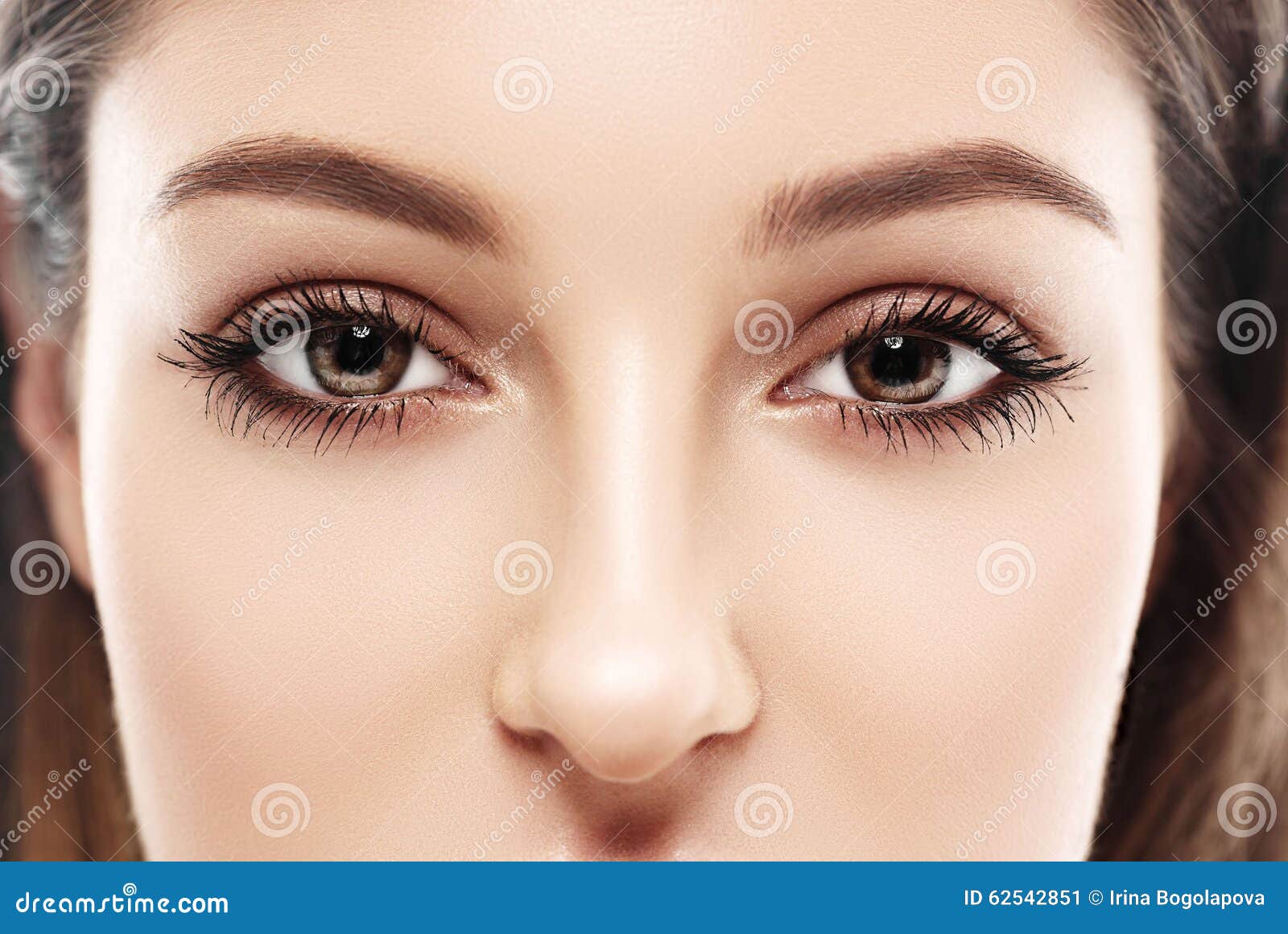 Beautiful Woman Eyes and Nose Studio on White Background Stock Image ...