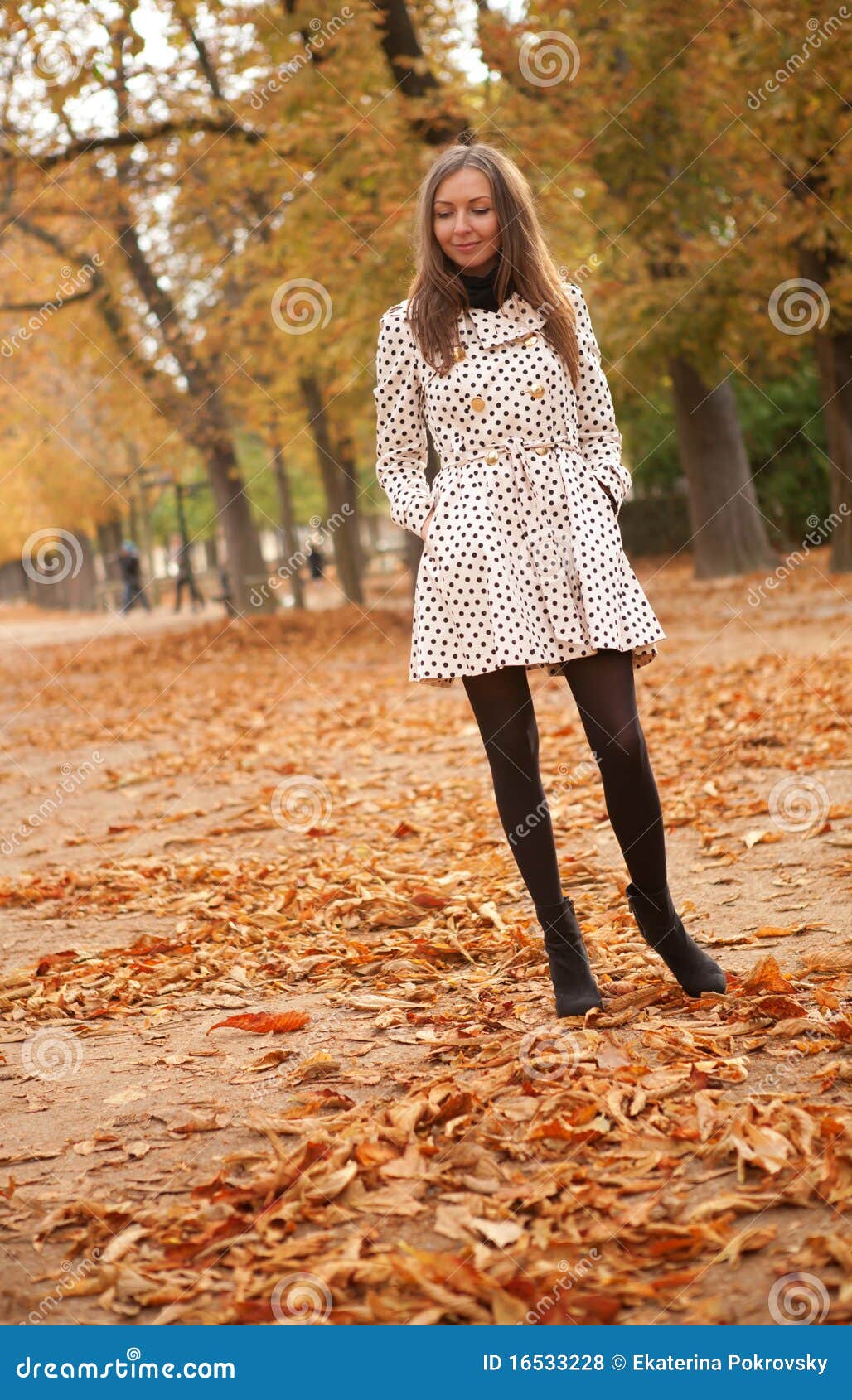 Beautiful woman at fall stock photo. Image of lifestyle - 16533228