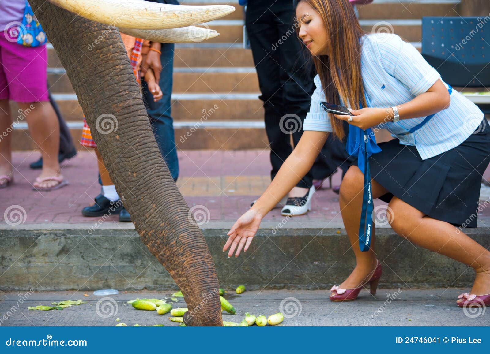 Beautiful Woman Feeding Elephant Trunk Editorial Photo - Image of isaan ...