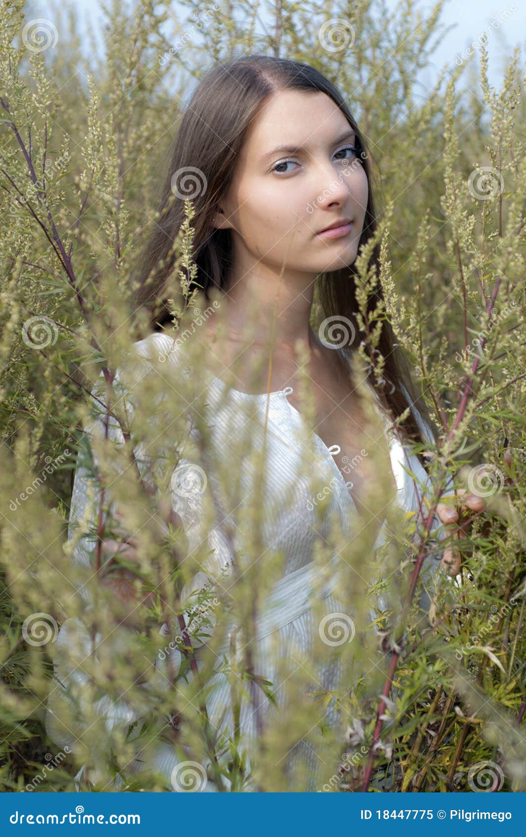 Beautiful Woman on the Field Stock Image - Image of adult, vacations ...