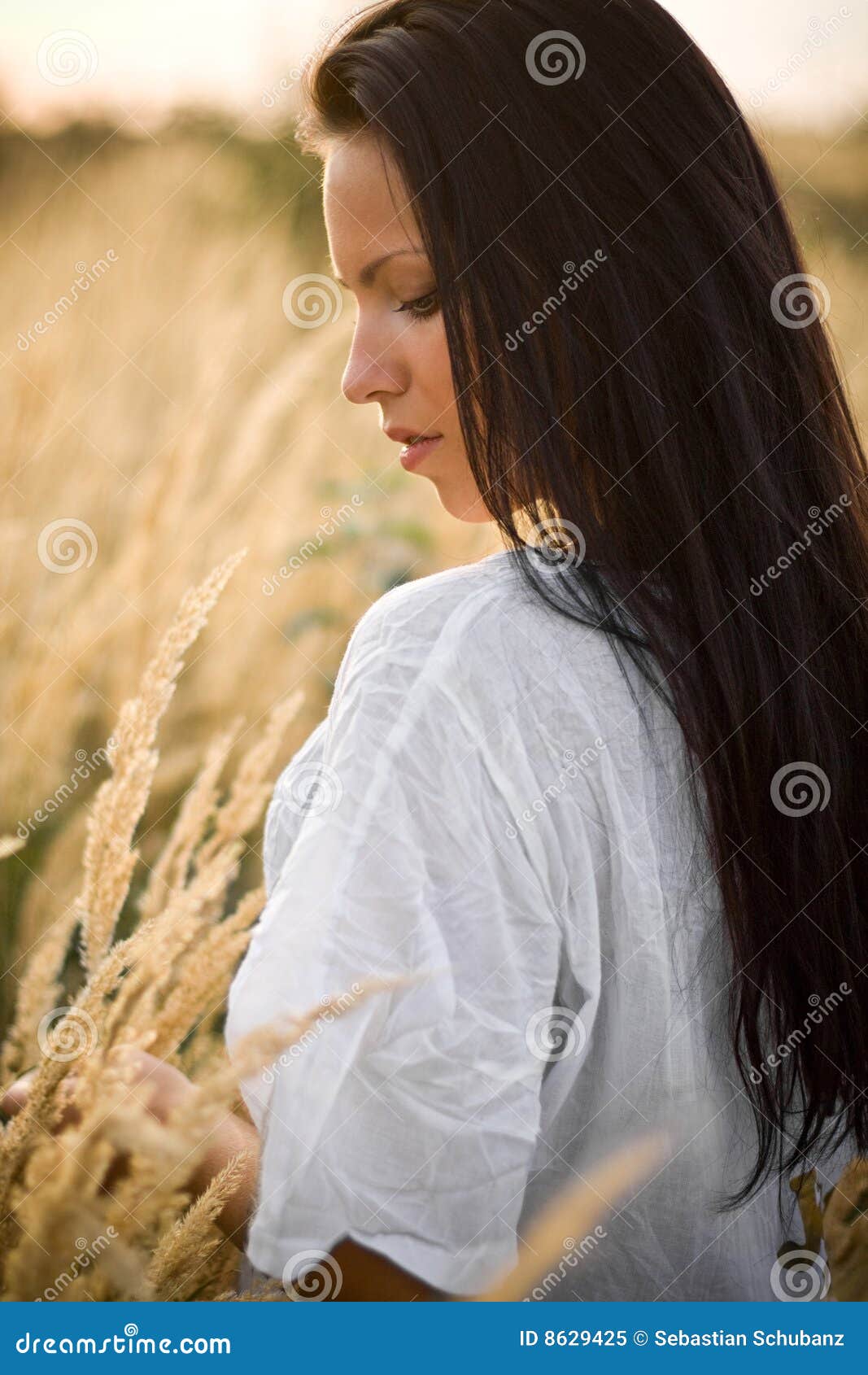 Beautiful woman in field stock image. Image of attractive - 8629425